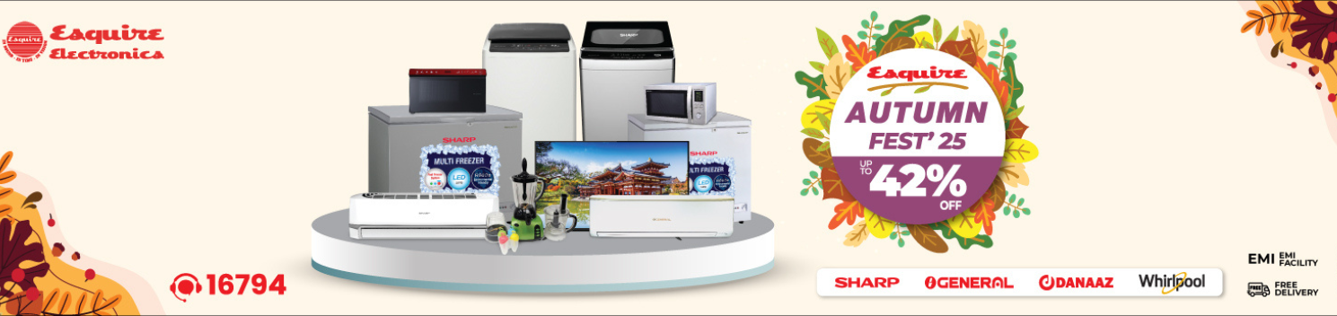 Esquire Electronics Ltd.